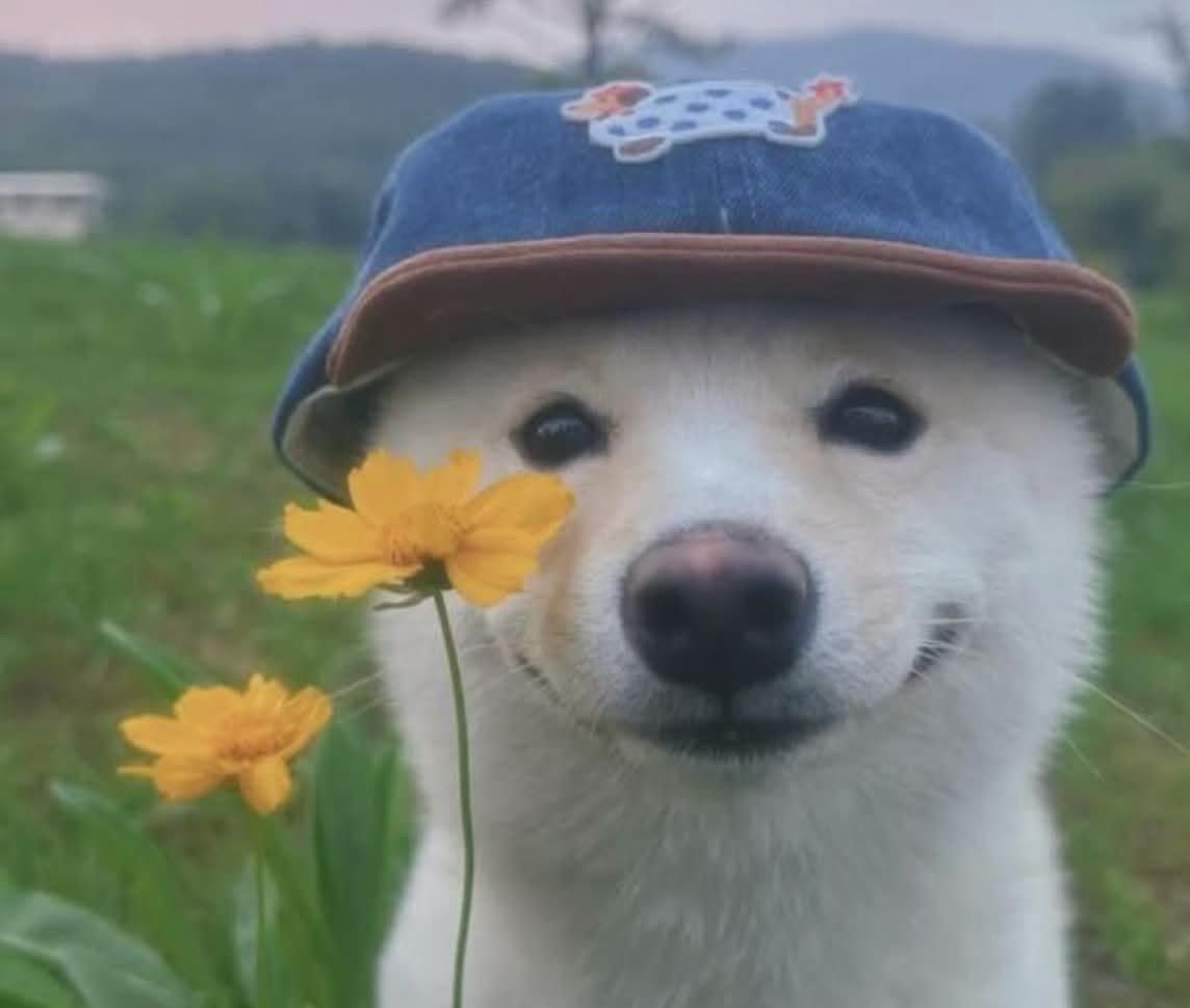 Interactive Image Gallery